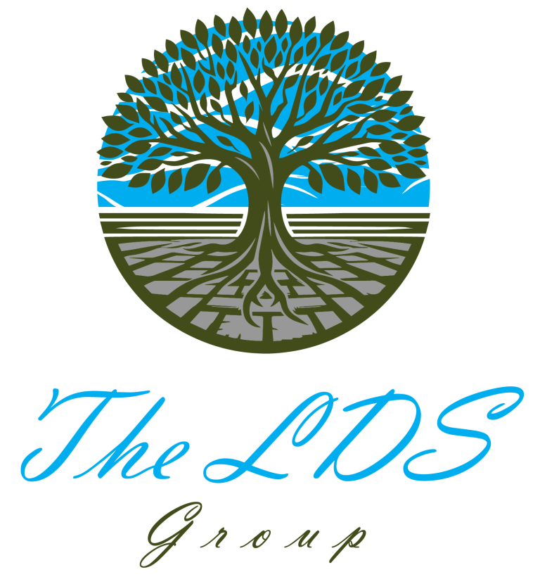 Home - The LDS Group